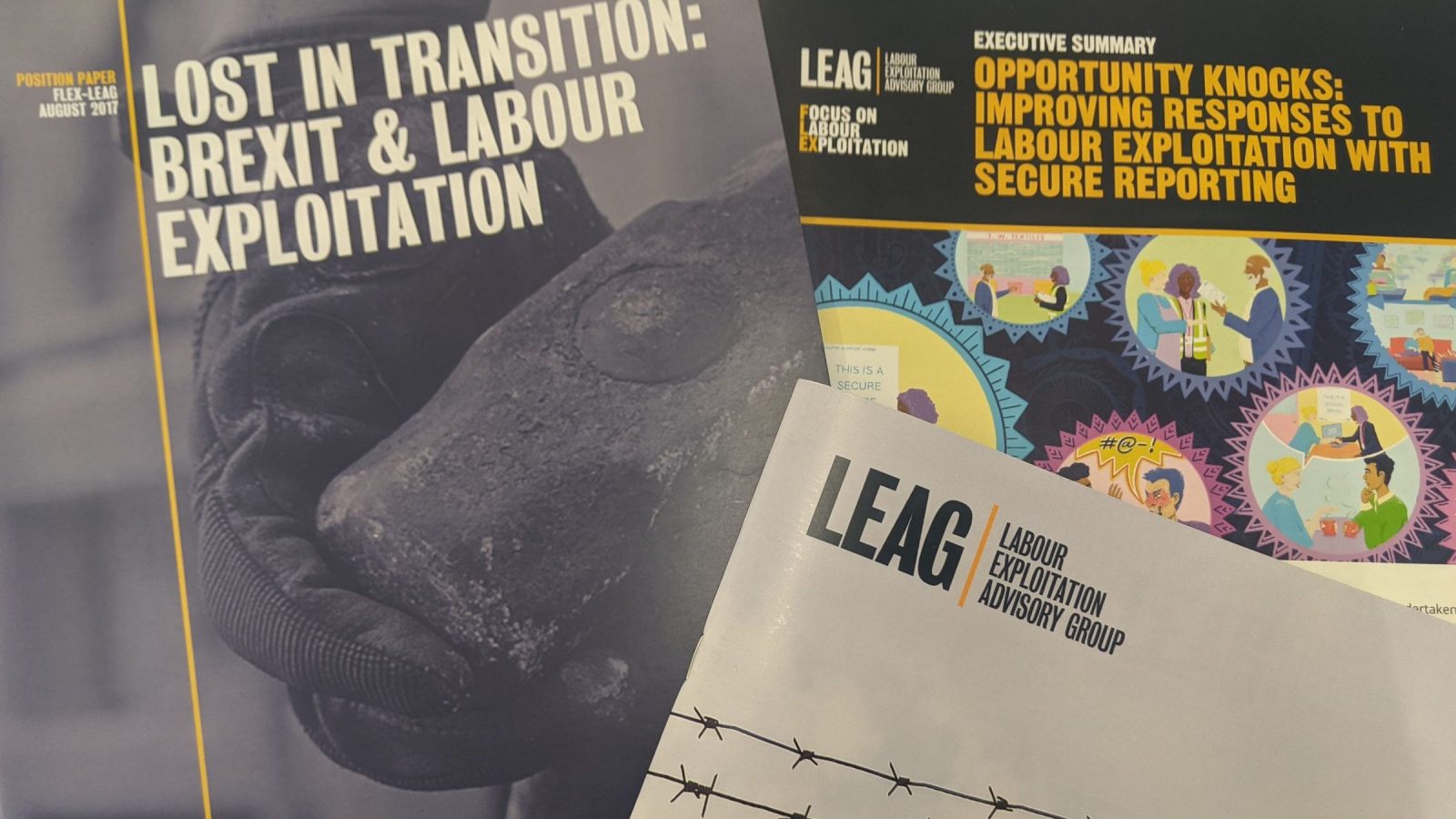 Labour Exploitation Advisory Group (LEAG) – FLEX