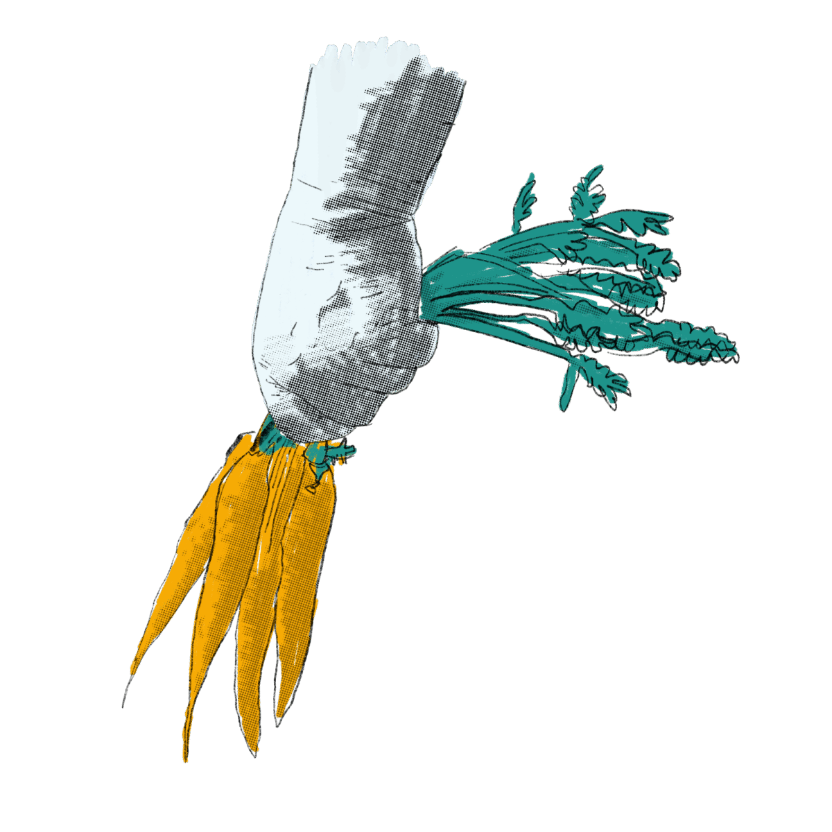 FLEX – Focus on Labour Exploitation