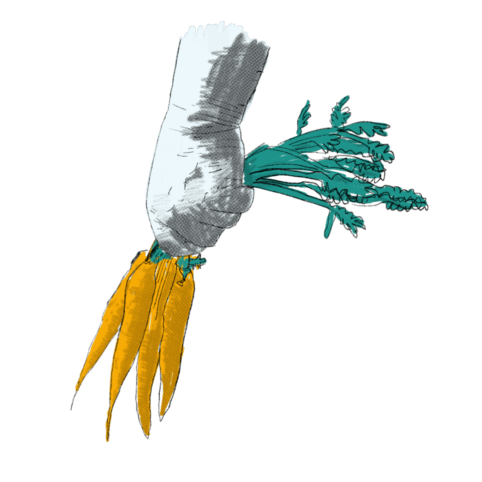 FLEX – Focus on Labour Exploitation