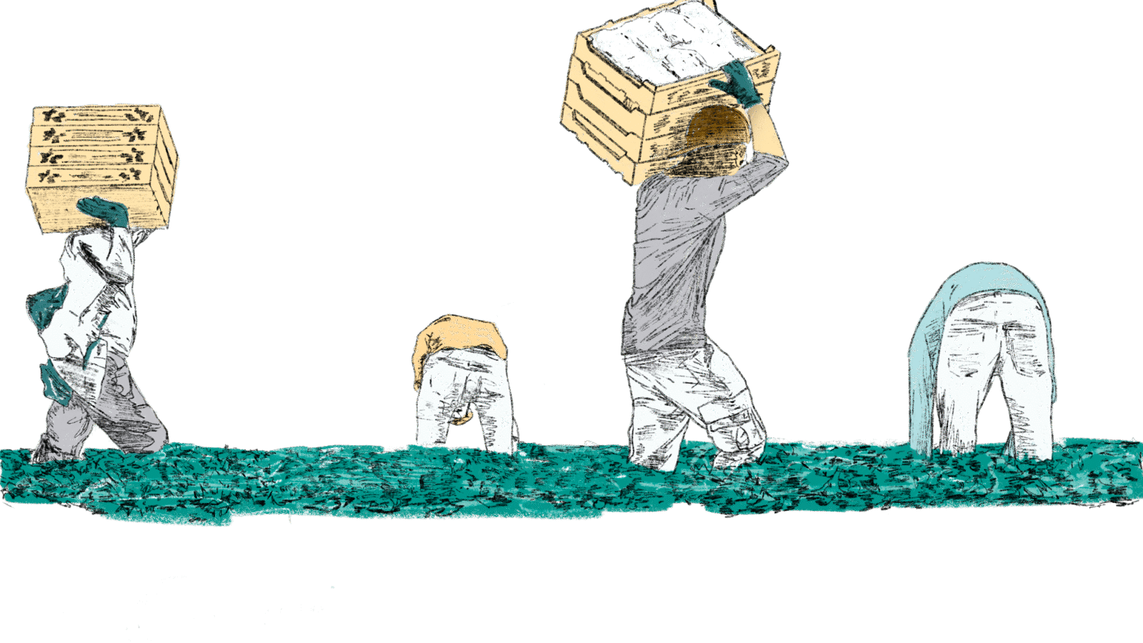 Labour Migration – FLEX