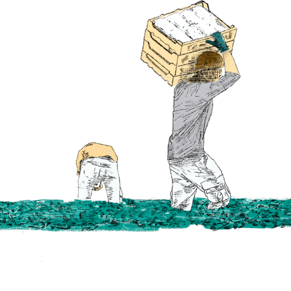 FLEX – Focus on Labour Exploitation